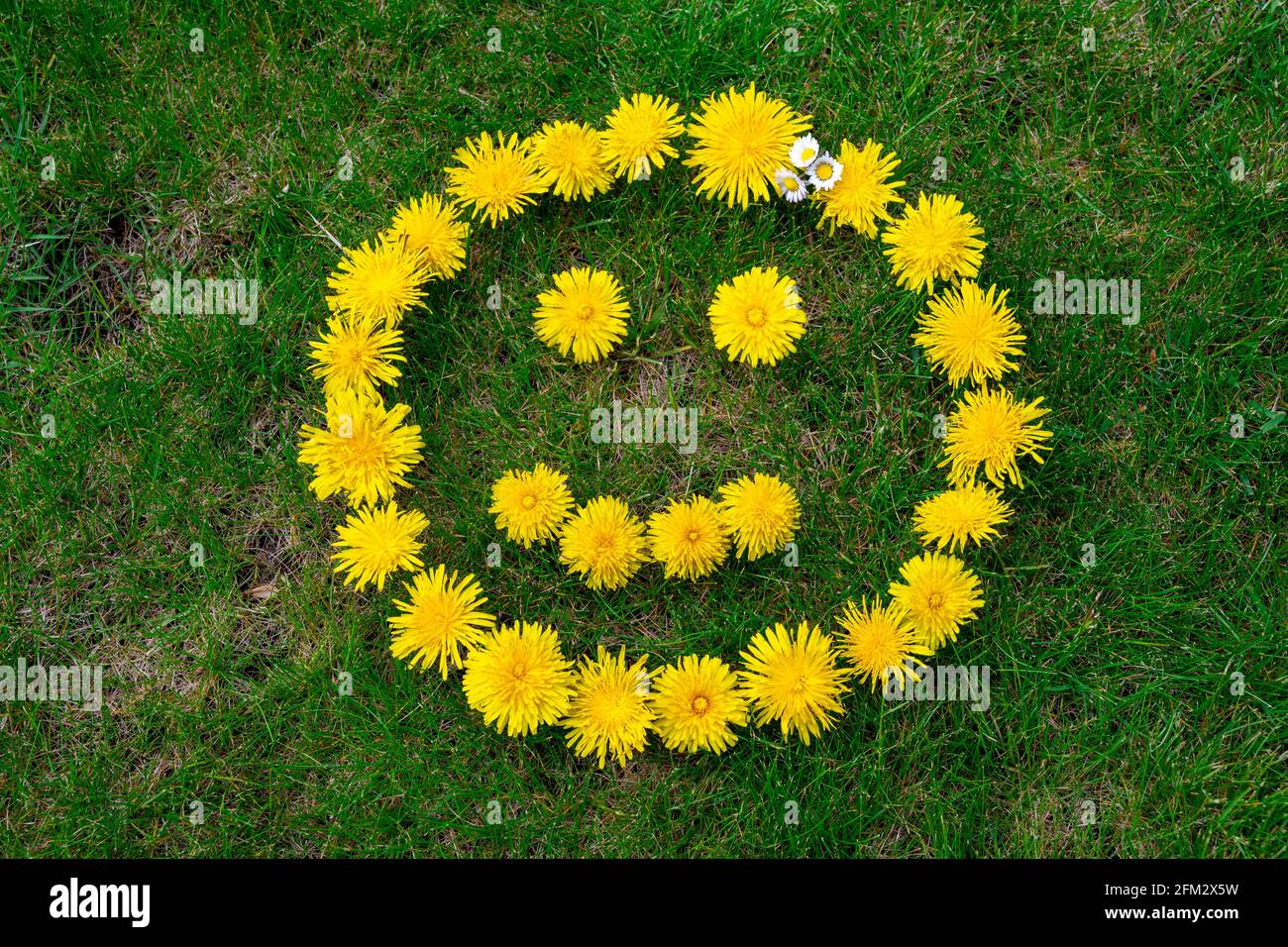 Smiley blumen -Fotos und -Bildmaterial in hoher Auflösung – Alamy