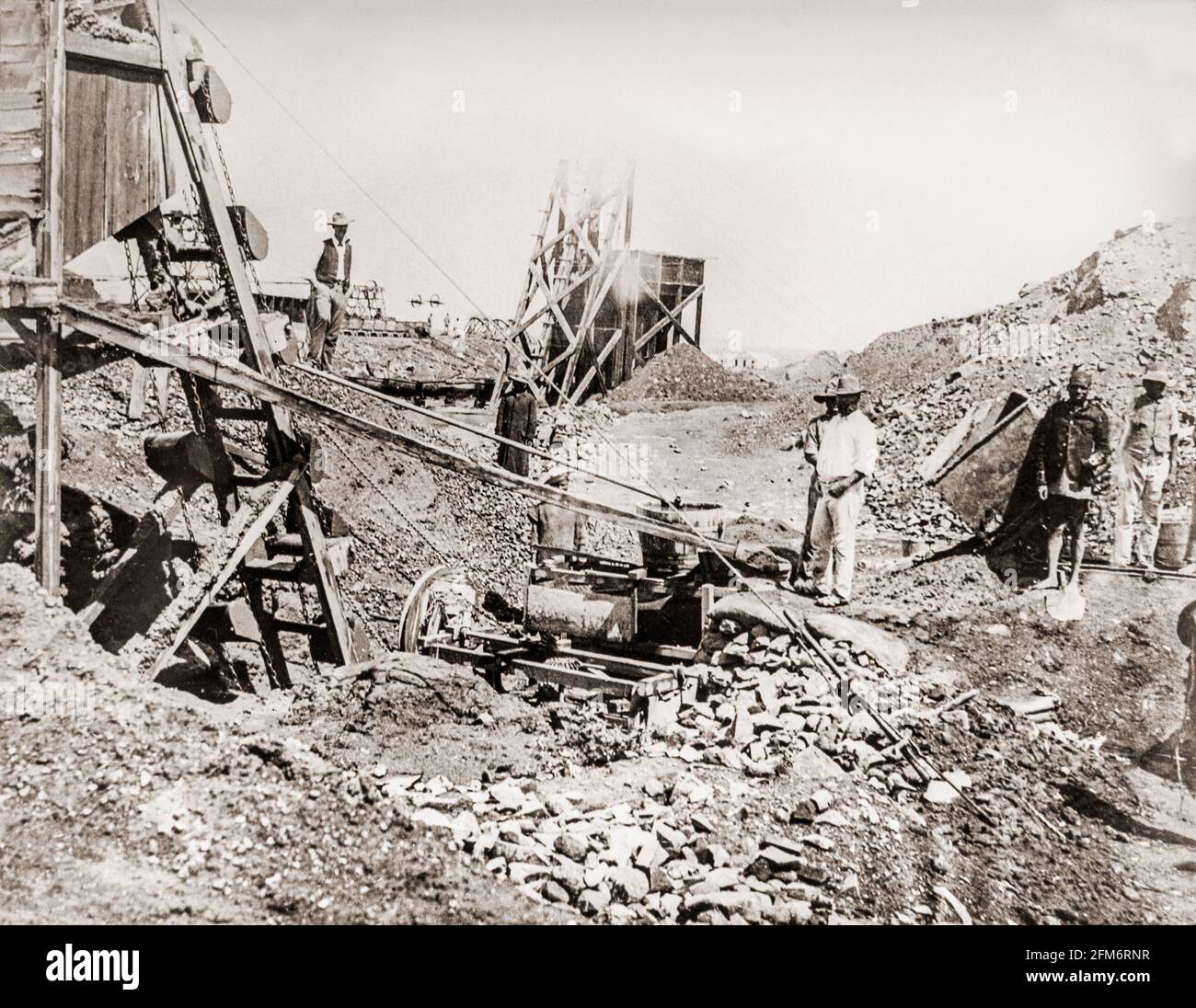 Transvaal africa -Fotos und -Bildmaterial in hoher Auflösung – Alamy