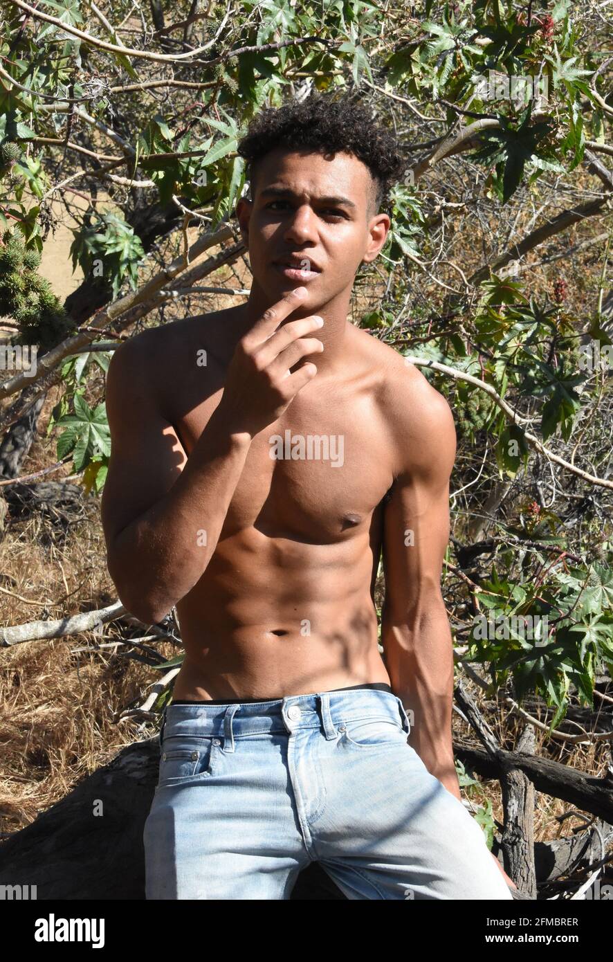 Orpheus stern -Fotos und -Bildmaterial in hoher Auflösung – Alamy