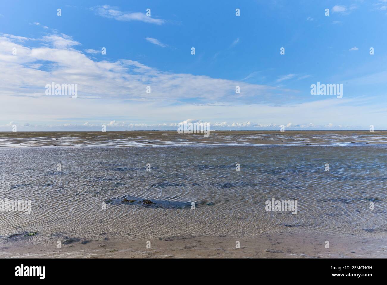 Insel föhr -Fotos und -Bildmaterial in hoher Auflösung – Alamy
