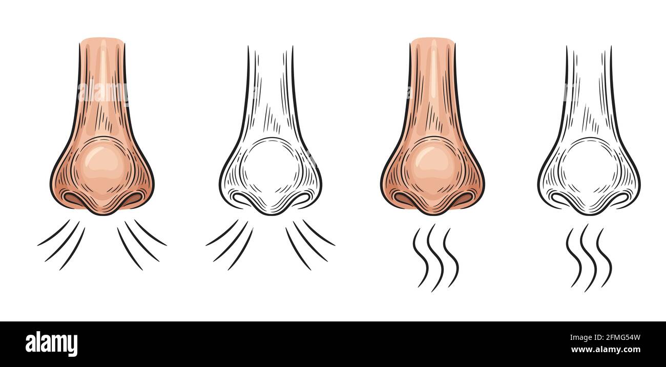 Vektorvektoren einatmen -Fotos und -Bildmaterial in hoher Auflösung – Alamy