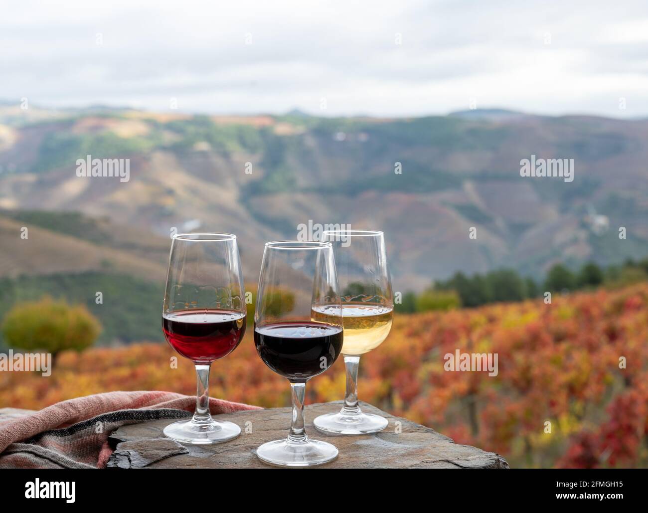 Verkostung von portugiesischem befestigtem Dessert und trockenem Portwein, hergestellt im Douro ...
