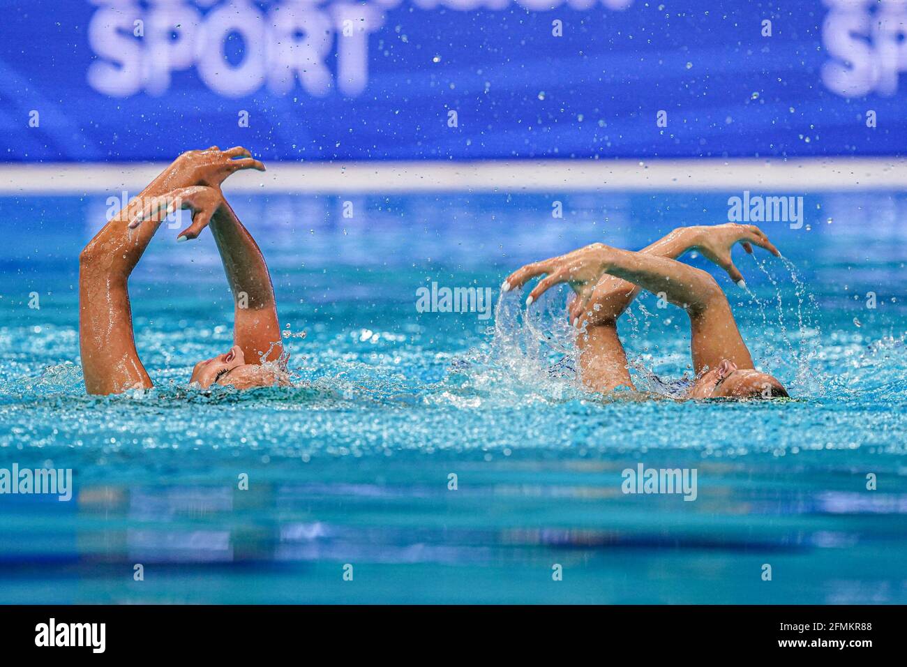 Andre farkas -Fotos und -Bildmaterial in hoher Auflösung – Alamy