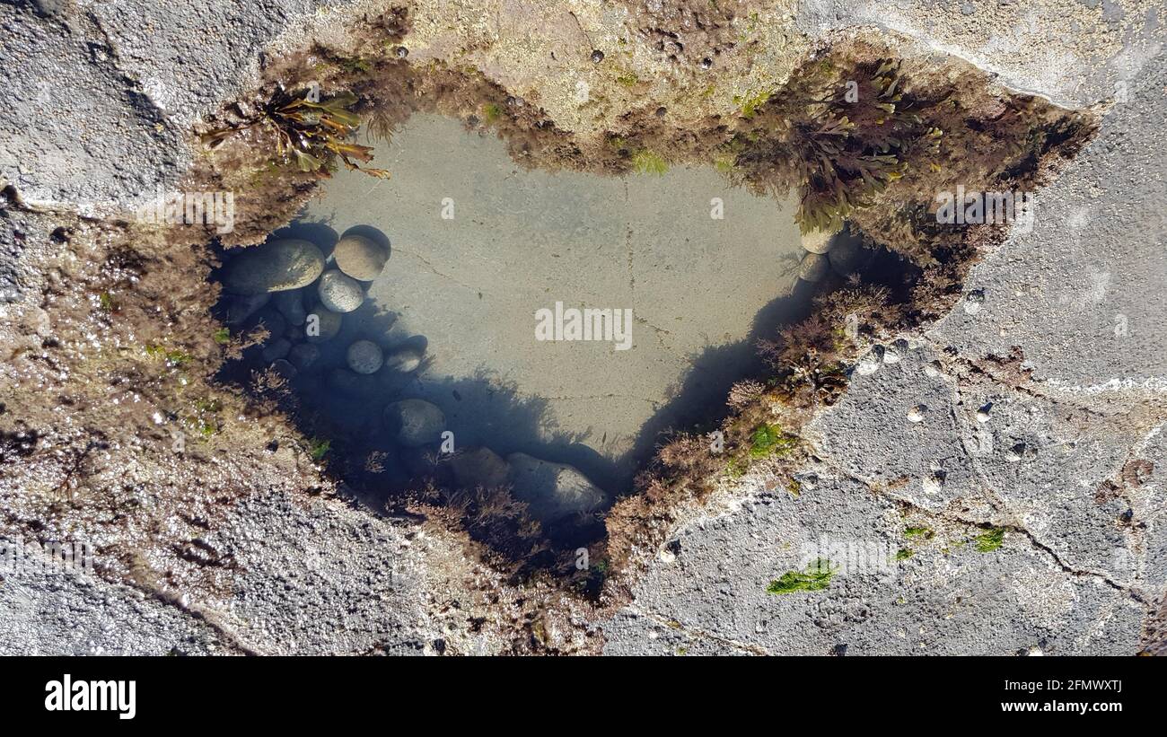 Herz pool -Fotos und -Bildmaterial in hoher Auflösung – Alamy