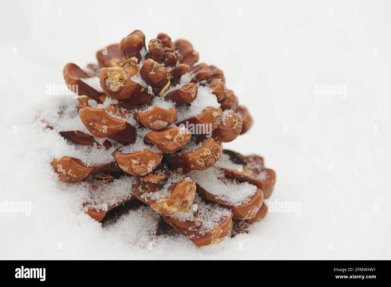 Große beule -Fotos und -Bildmaterial in hoher Auflösung – Alamy