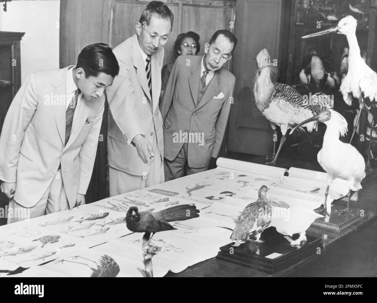 Kaiser von japan -Fotos und -Bildmaterial in hoher Auflösung – Alamy