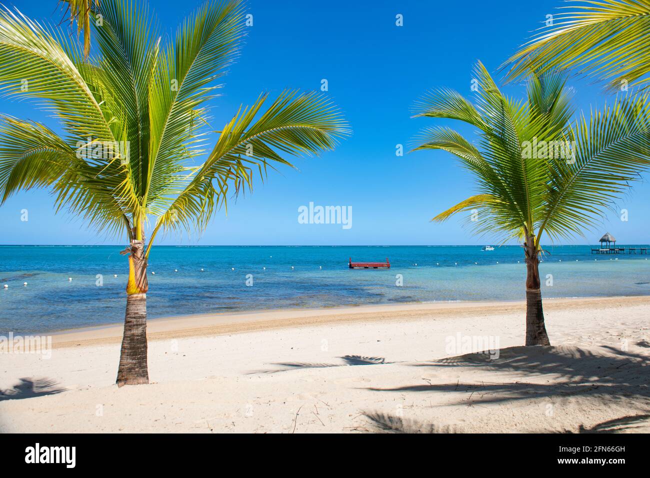 Traumstrand karibik -Fotos und -Bildmaterial in hoher Auflösung – Alamy
