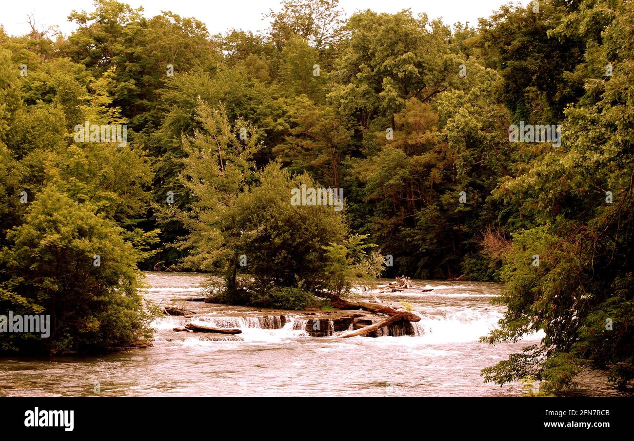 Fluss mitten im wald -Fotos und -Bildmaterial in hoher Auflösung – Alamy