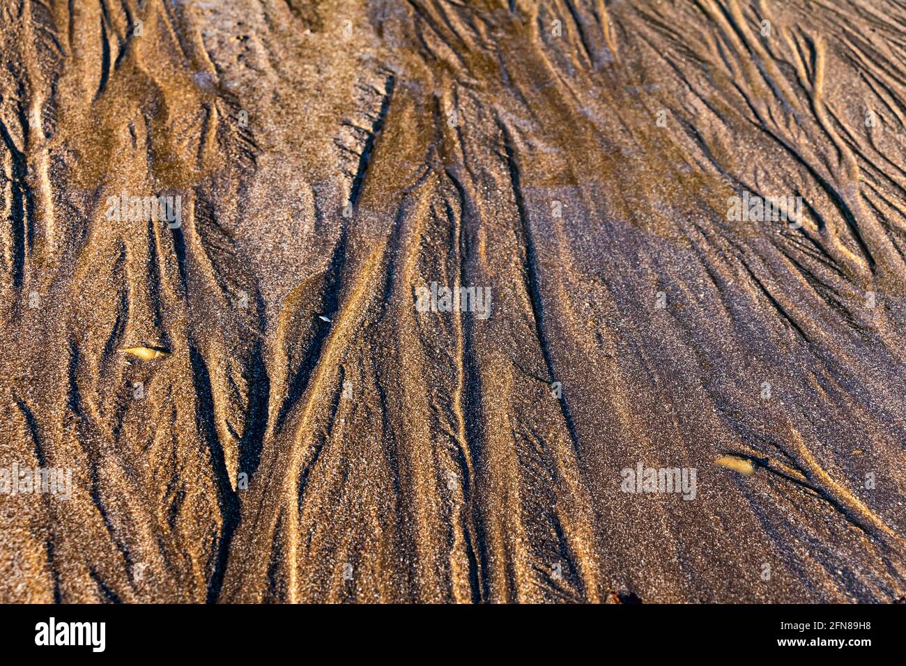 Sieh Den Sand Durch Das Wasser Stockfotos und -bilder Kaufen - Alamy