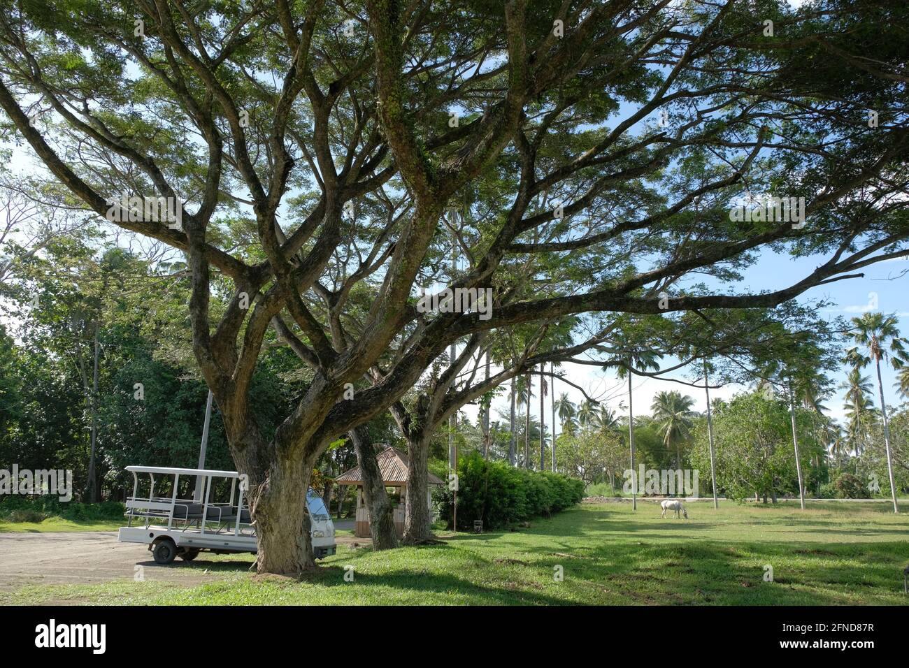 Davao golf -Fotos und -Bildmaterial in hoher Auflösung – Alamy