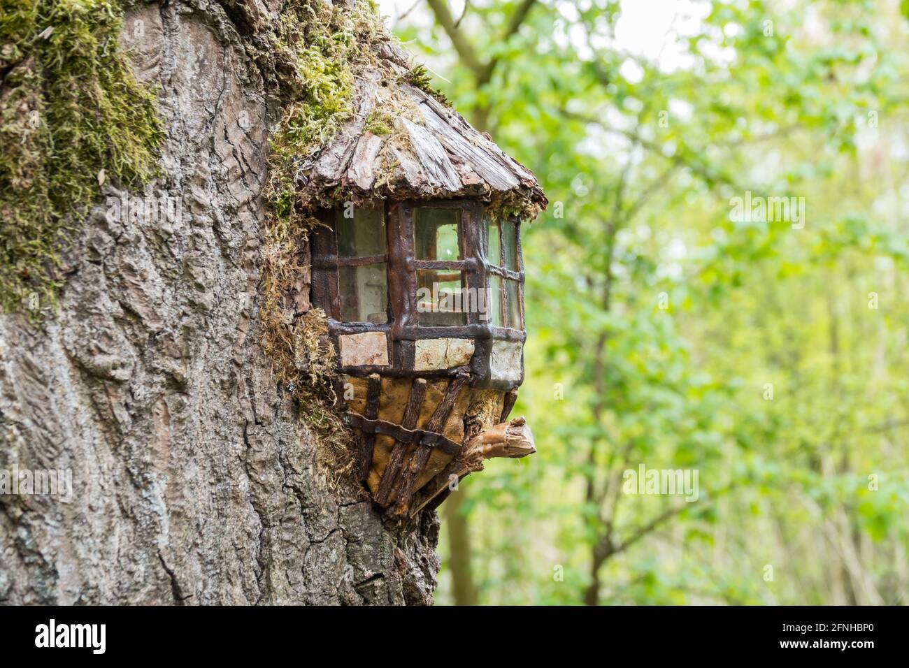 Miniatur baum -Fotos und -Bildmaterial in hoher Auflösung – Alamy
