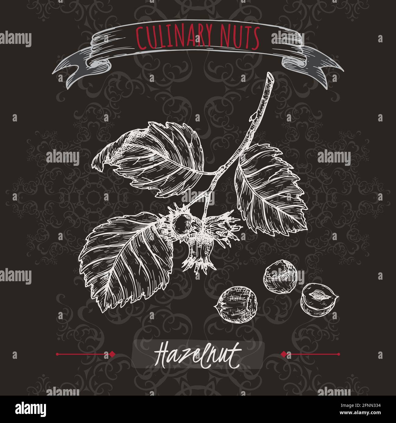 Hazel nut tree Stock-Vektorgrafiken kaufen - Alamy