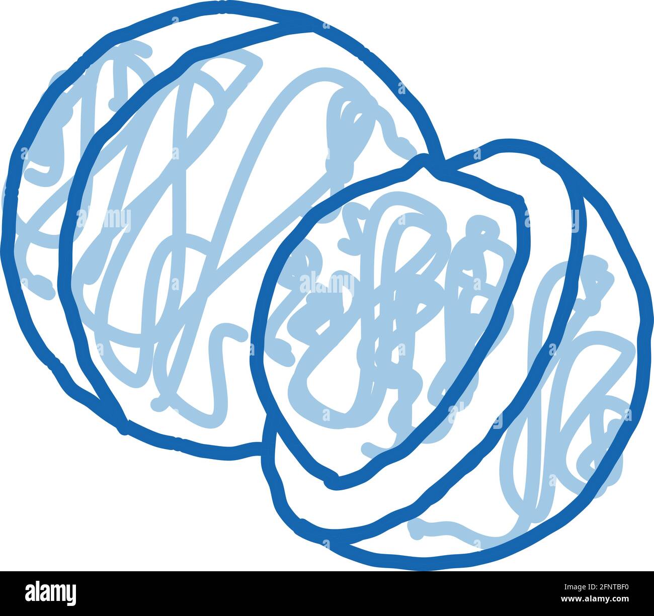 Macadamia Nuss Symbol Vektor Umriss Illustration Stock-Vektorgrafik - Alamy