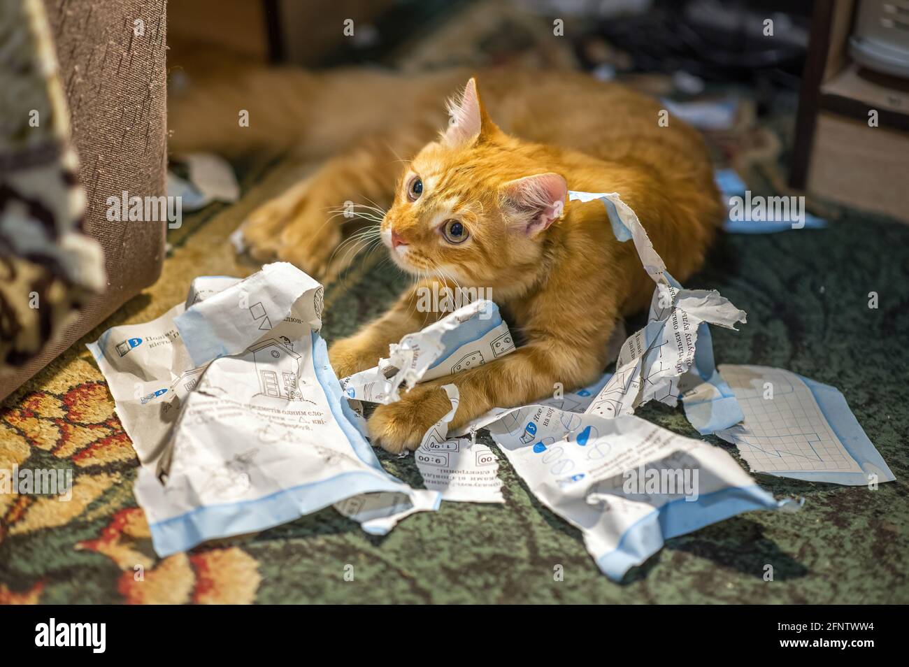 Riss papier -Fotos und -Bildmaterial in hoher Auflösung – Alamy