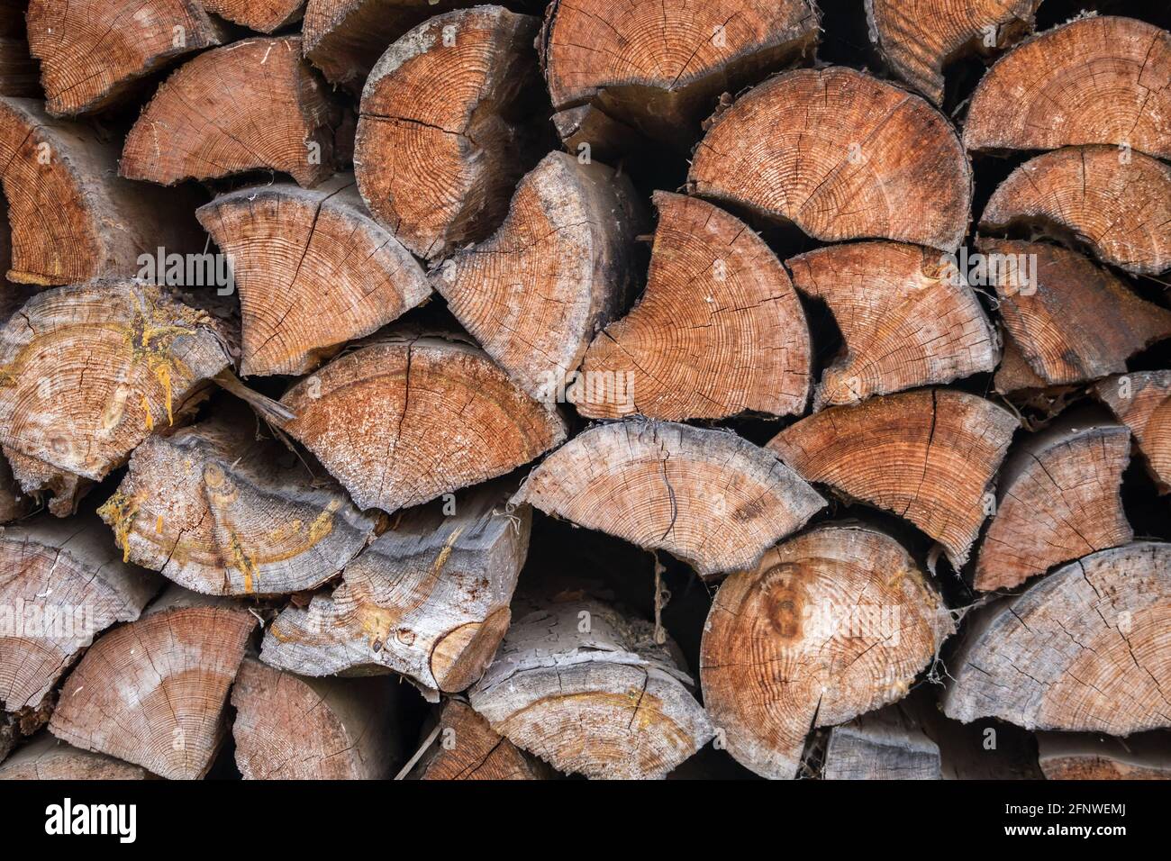 Fichtenholz textur -Fotos und -Bildmaterial in hoher Auflösung – Alamy