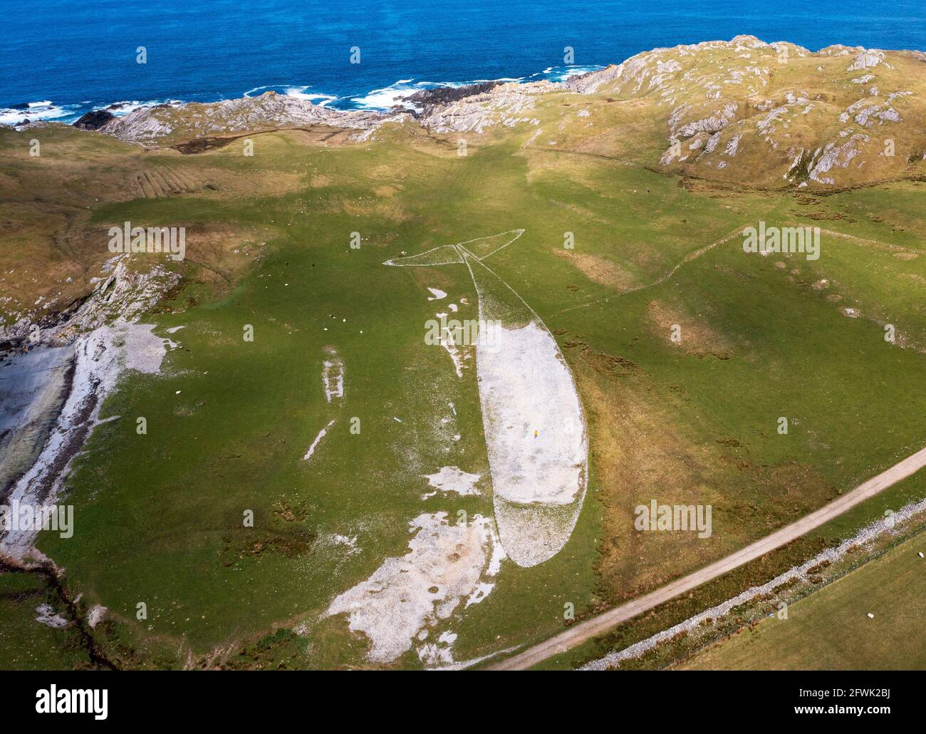 Whale colonsay -Fotos und -Bildmaterial in hoher Auflösung – Alamy