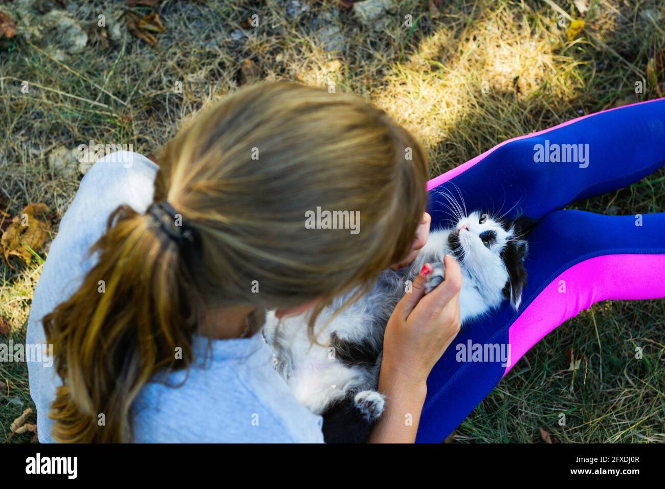 Mädchen spielt mit katze -Fotos und -Bildmaterial in hoher Auflösung ...