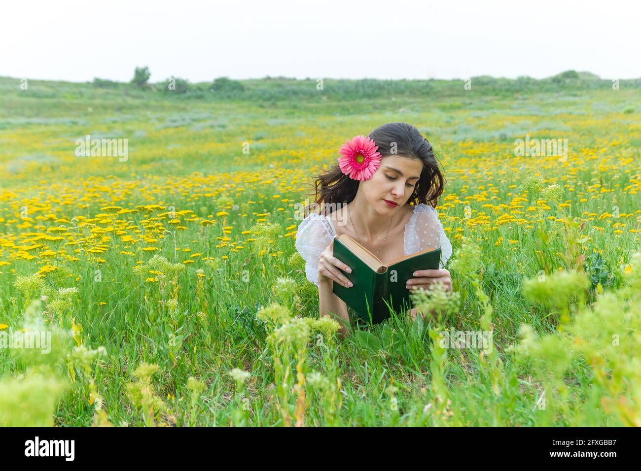 Hübsche junge Frau auf dem Feld beim Lesen des Buches, Frau beim Lesen eines Buches, Mädchen auf ...