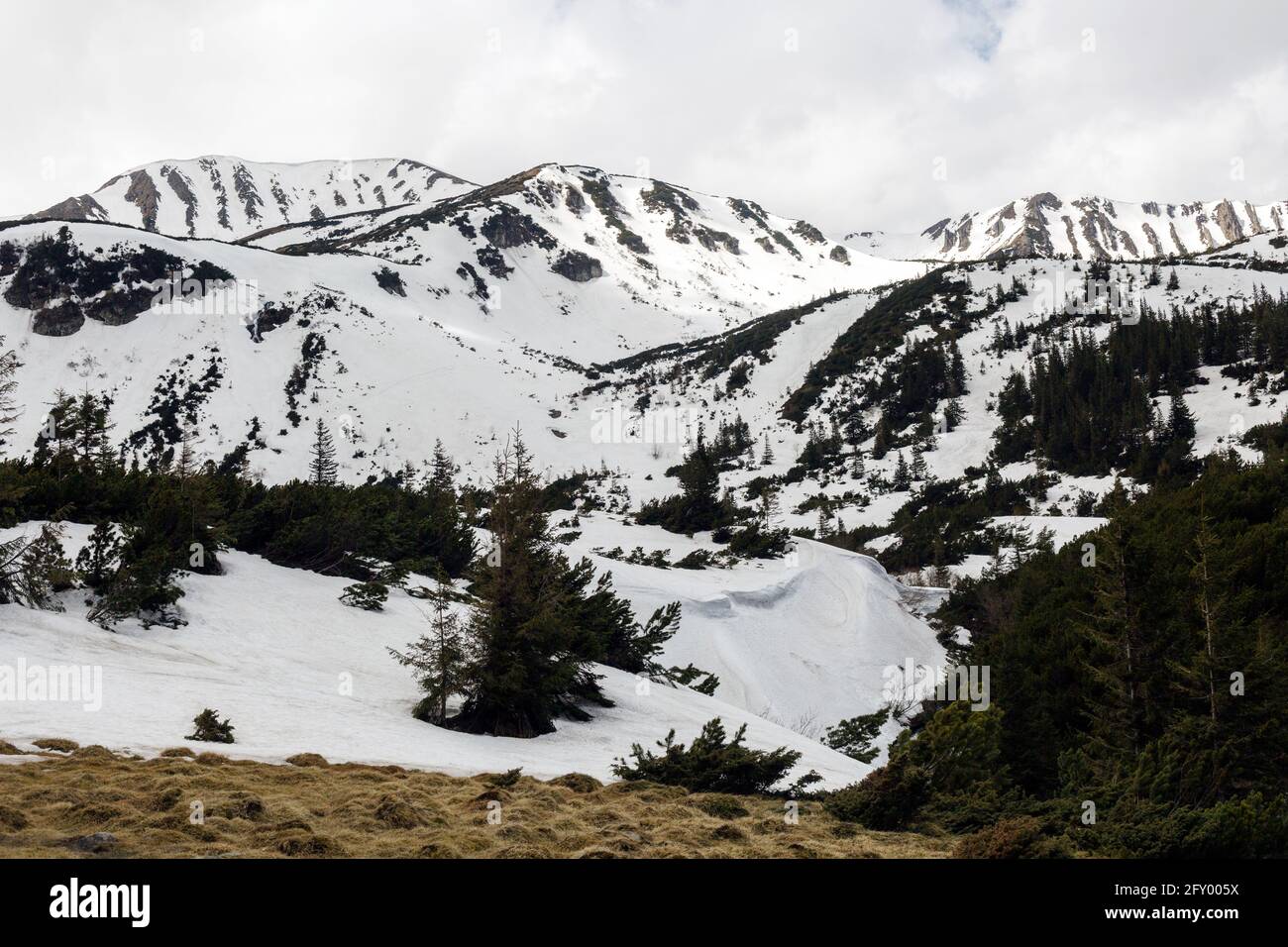 Spring hoverla -Fotos und -Bildmaterial in hoher Auflösung – Alamy