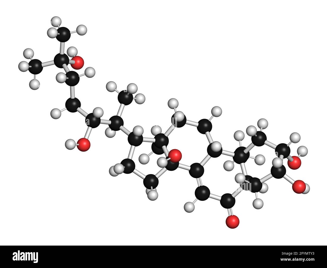 Ecdysteroid hormon -Fotos und -Bildmaterial in hoher Auflösung – Alamy