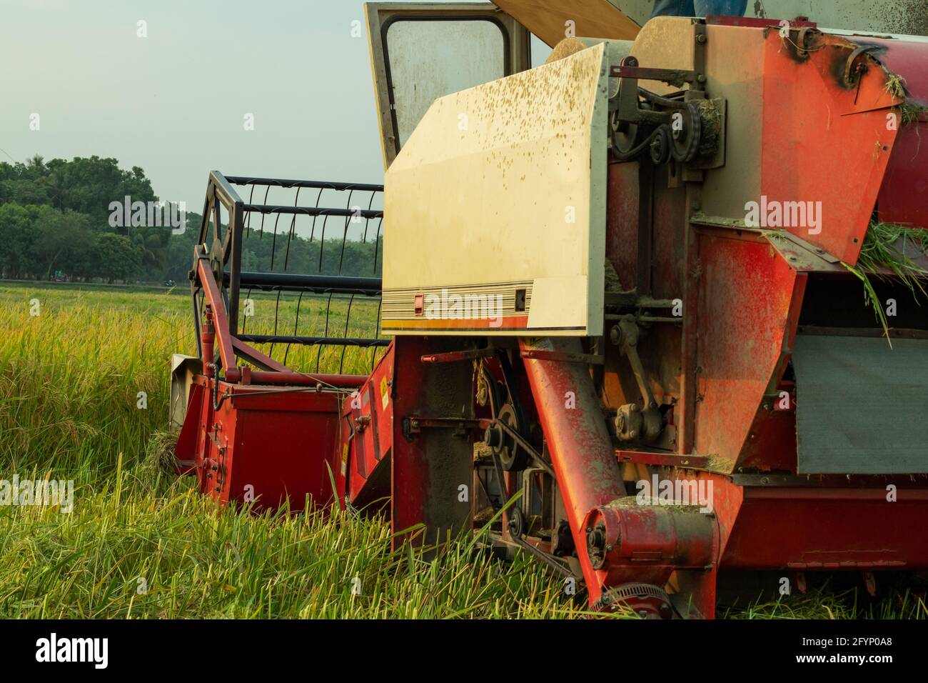 Schneiden und dreschen -Fotos und -Bildmaterial in hoher Auflösung – Alamy