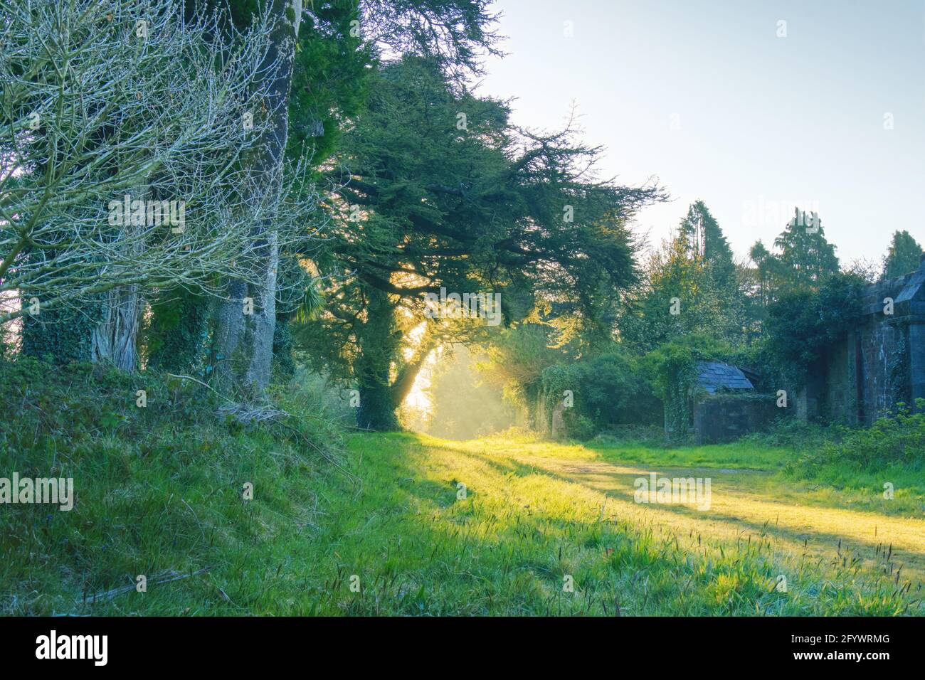 Arklow wald -Fotos und -Bildmaterial in hoher Auflösung – Alamy
