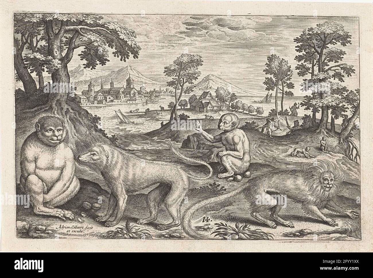 Affen; vierbeinige Tiere; ANIMALIVM QVADRVPEDVM. Vier Affen im ...