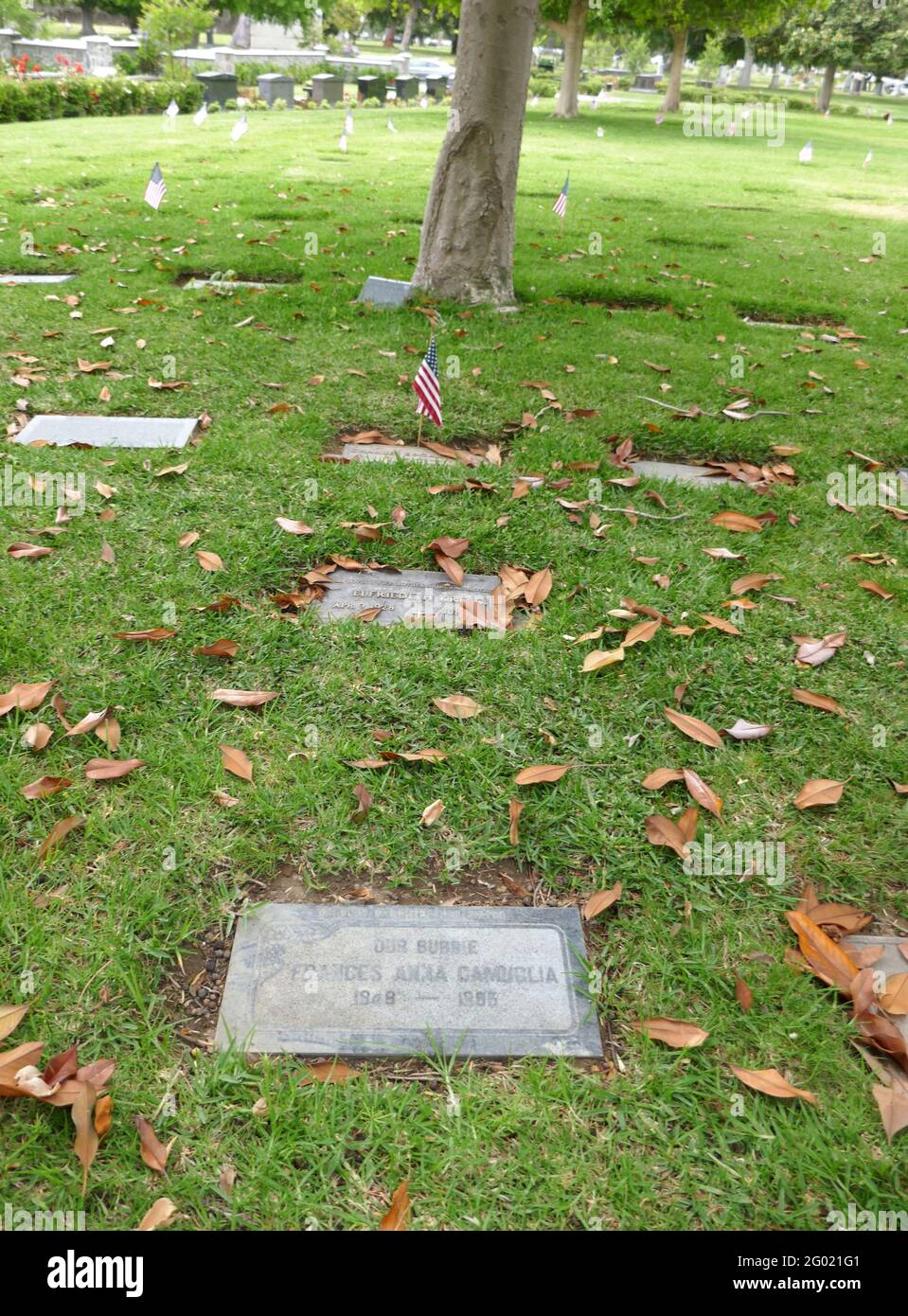 Fran gerard -Fotos und -Bildmaterial in hoher Auflösung – Alamy