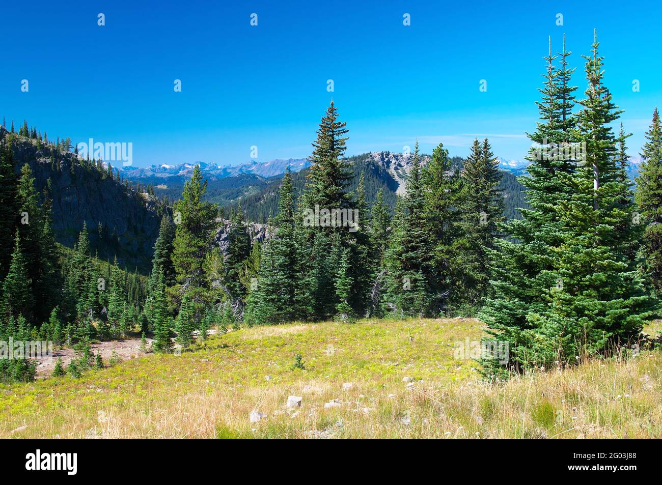 Manning park -Fotos und -Bildmaterial in hoher Auflösung – Alamy