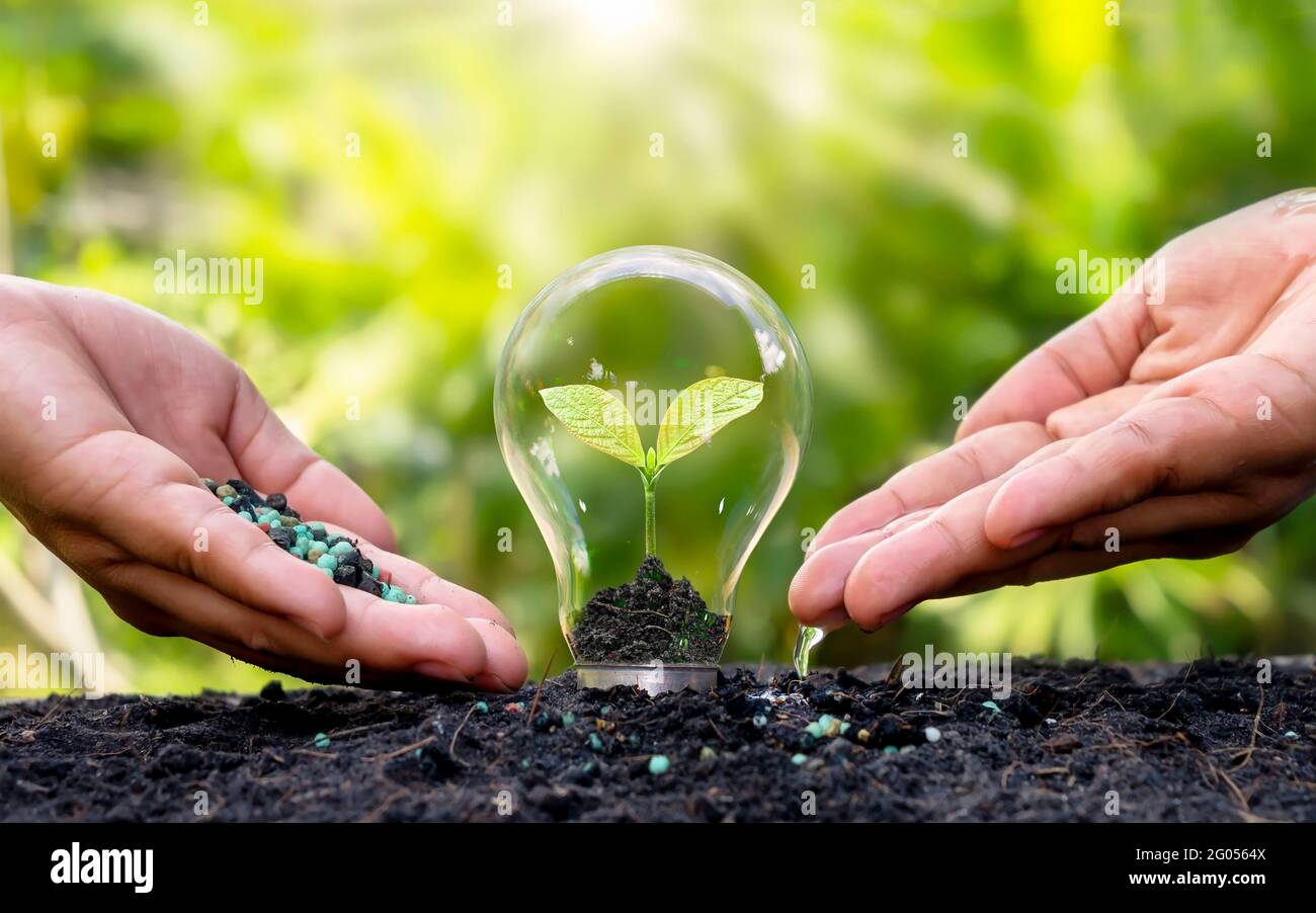 Helfen, Den Planeten Zu Retten Stockfotos und -bilder Kaufen - Alamy