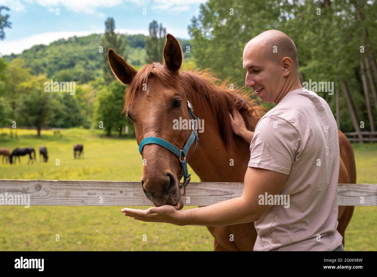 Muskulöser mann mit pferd -Fotos und -Bildmaterial in hoher Auflösung ...