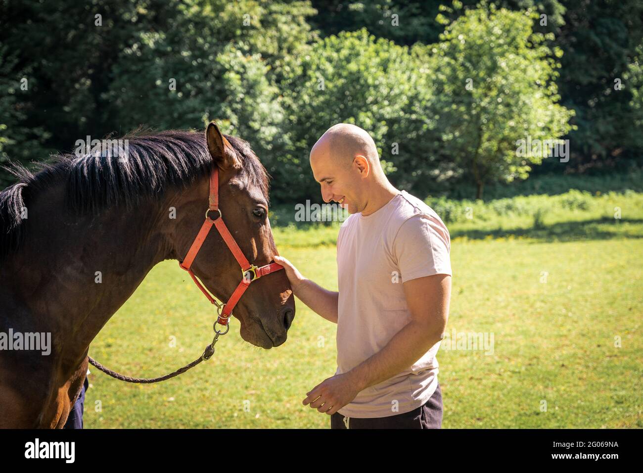 Muskulöser mann mit pferd -Fotos und -Bildmaterial in hoher Auflösung ...