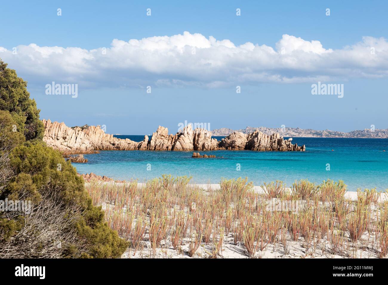 Rosa Strand Von Budelli Insel Stockfotos und -bilder Kaufen - Alamy