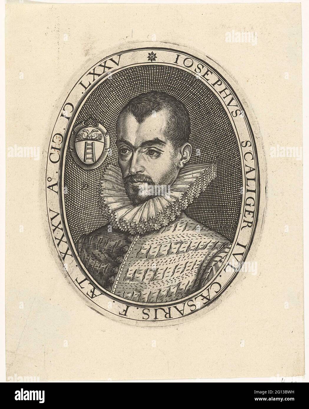 Julius caesar scaliger -Fotos und -Bildmaterial in hoher Auflösung – Alamy