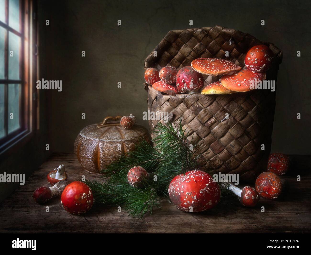 Tannenzapfen pilze -Fotos und -Bildmaterial in hoher Auflösung – Alamy