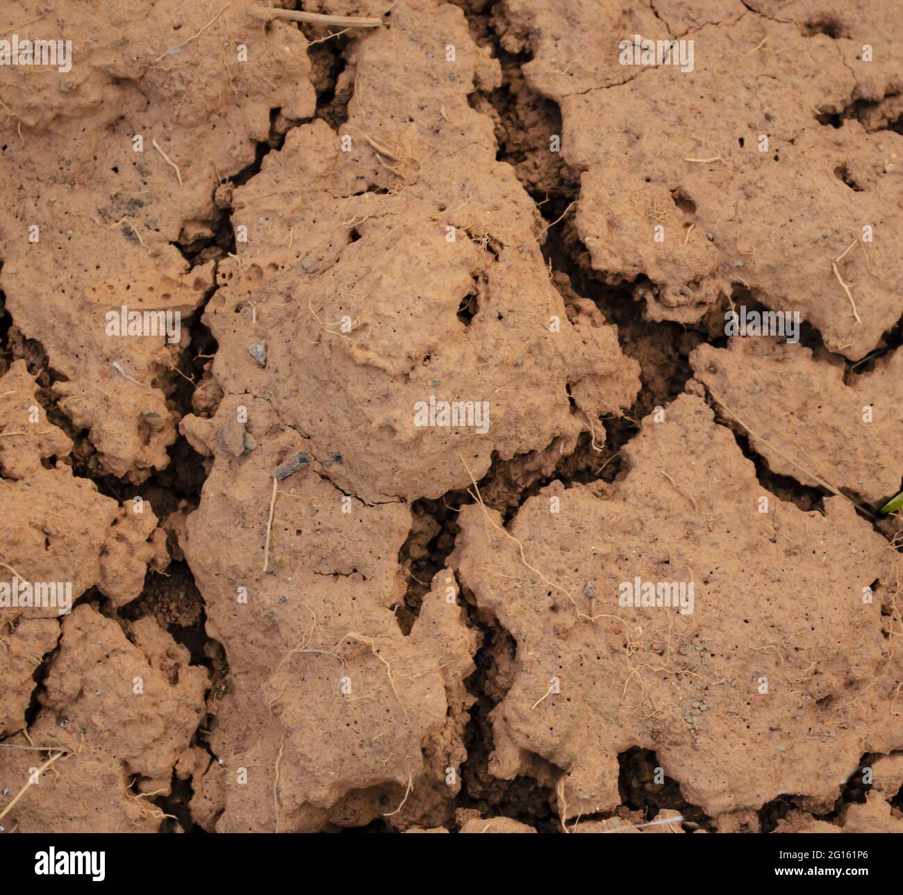 Struktur aus getrocknetem ton -Fotos und -Bildmaterial in hoher ...