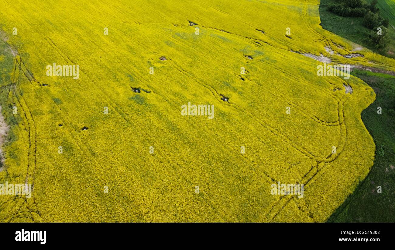 Blütenrand sichtbar -Fotos und -Bildmaterial in hoher Auflösung – Alamy