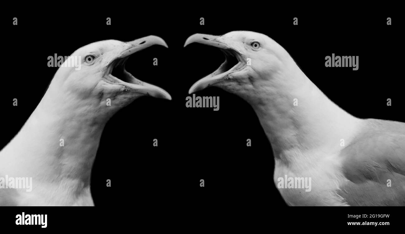 Angry face illustration -Fotos und -Bildmaterial in hoher Auflösung – Alamy