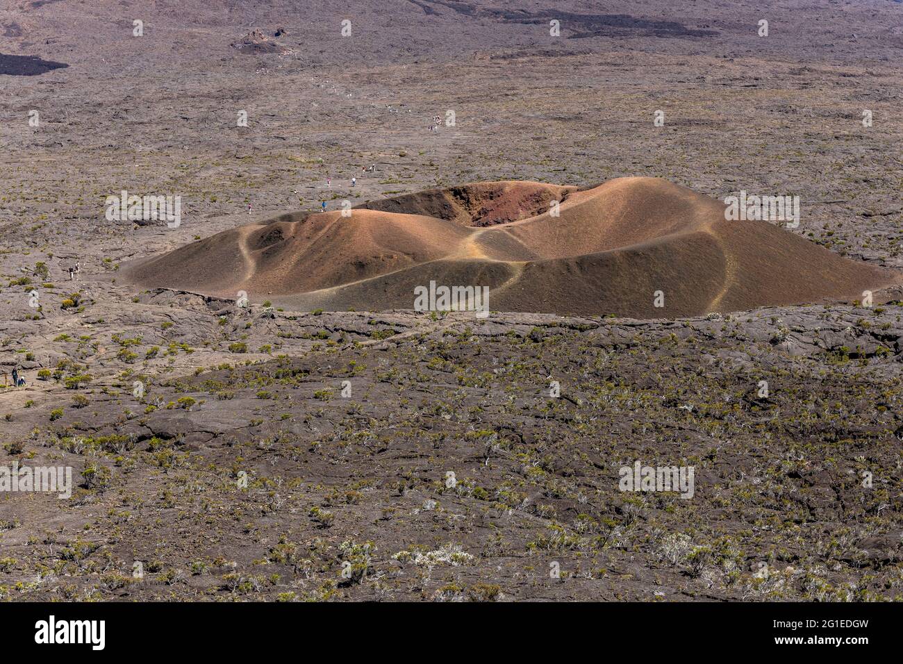 FRANKREICH. REUNION ISLAND, PITON DE LA FOURNAISE, VULKAN, FORMICA LEO ...