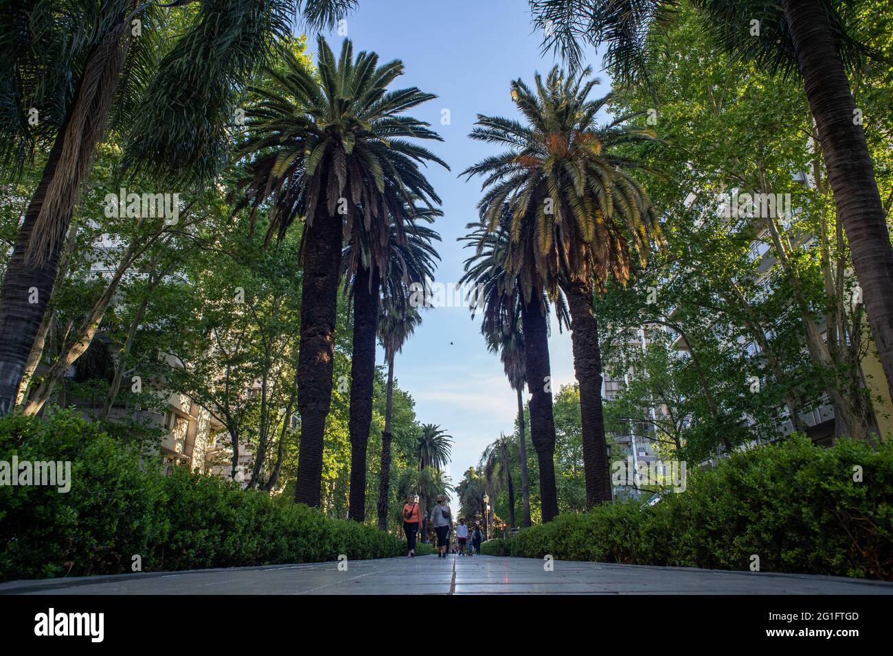 Orono boulevard -Fotos und -Bildmaterial in hoher Auflösung – Alamy