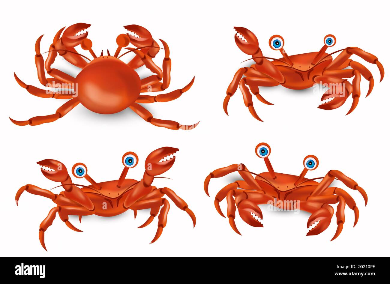 Krabbenbein abendessen Stock-Vektorgrafiken kaufen - Alamy