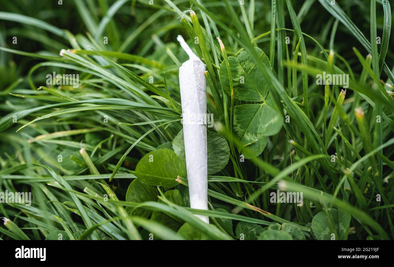 Marijuana thc ganja joint weed medicine -Fotos und -Bildmaterial in ...