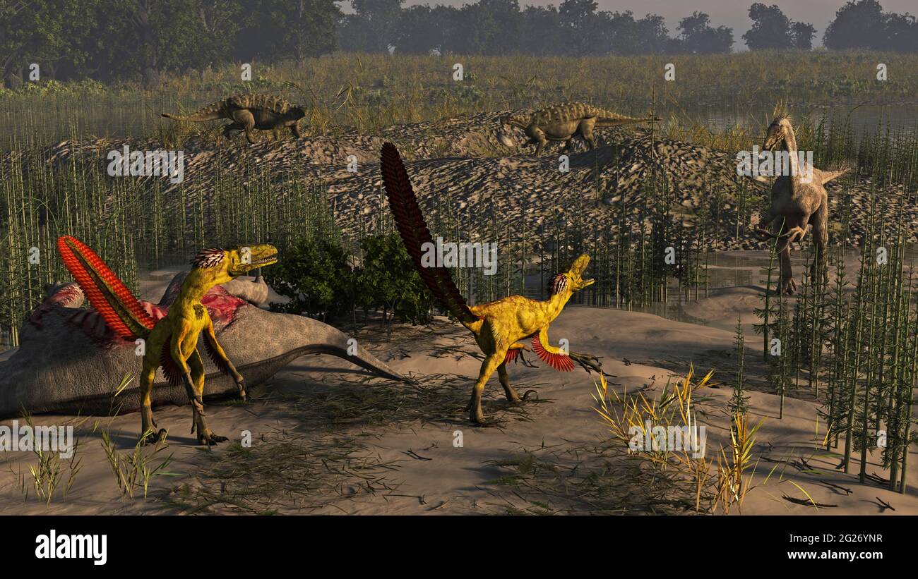 Talarurus plicatospineus -Fotos und -Bildmaterial in hoher Auflösung ...