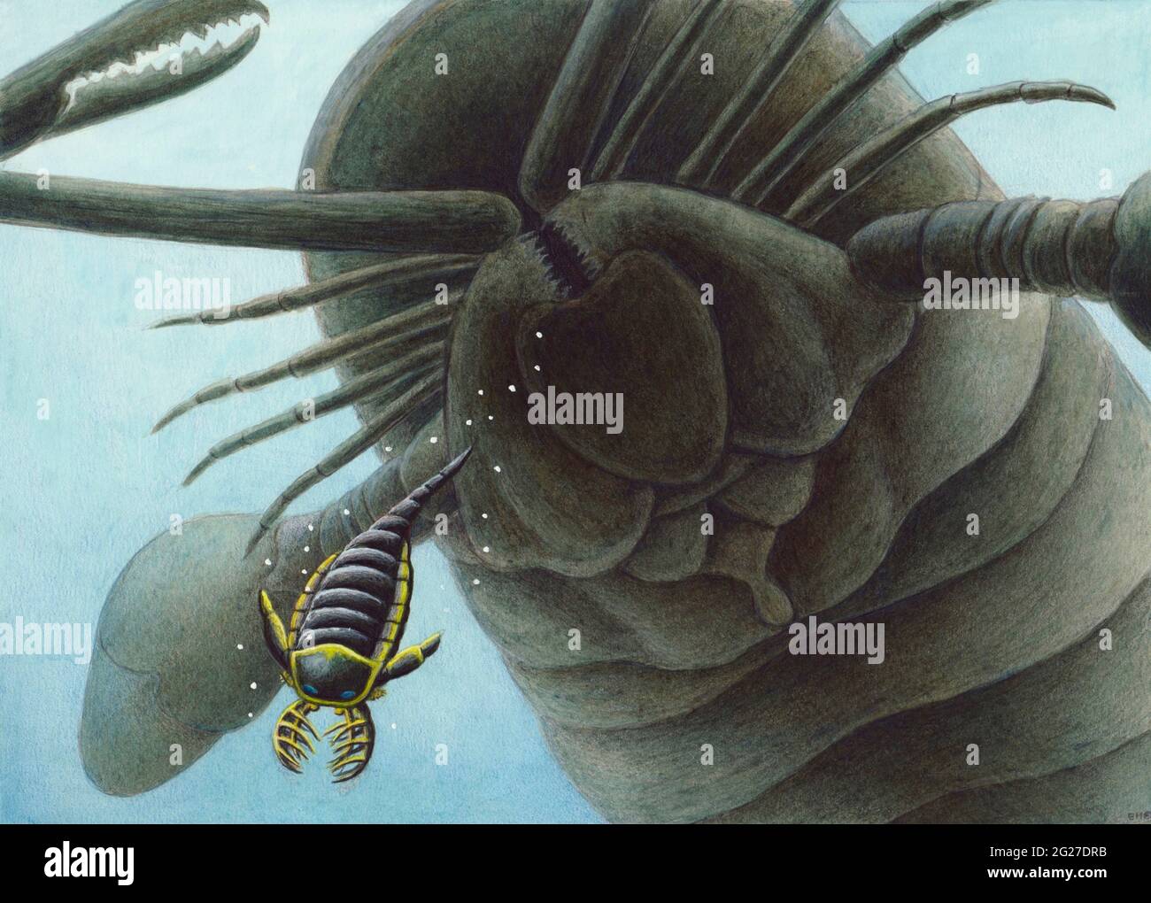 Pterygotus silurian scorpion -Fotos und -Bildmaterial in hoher ...