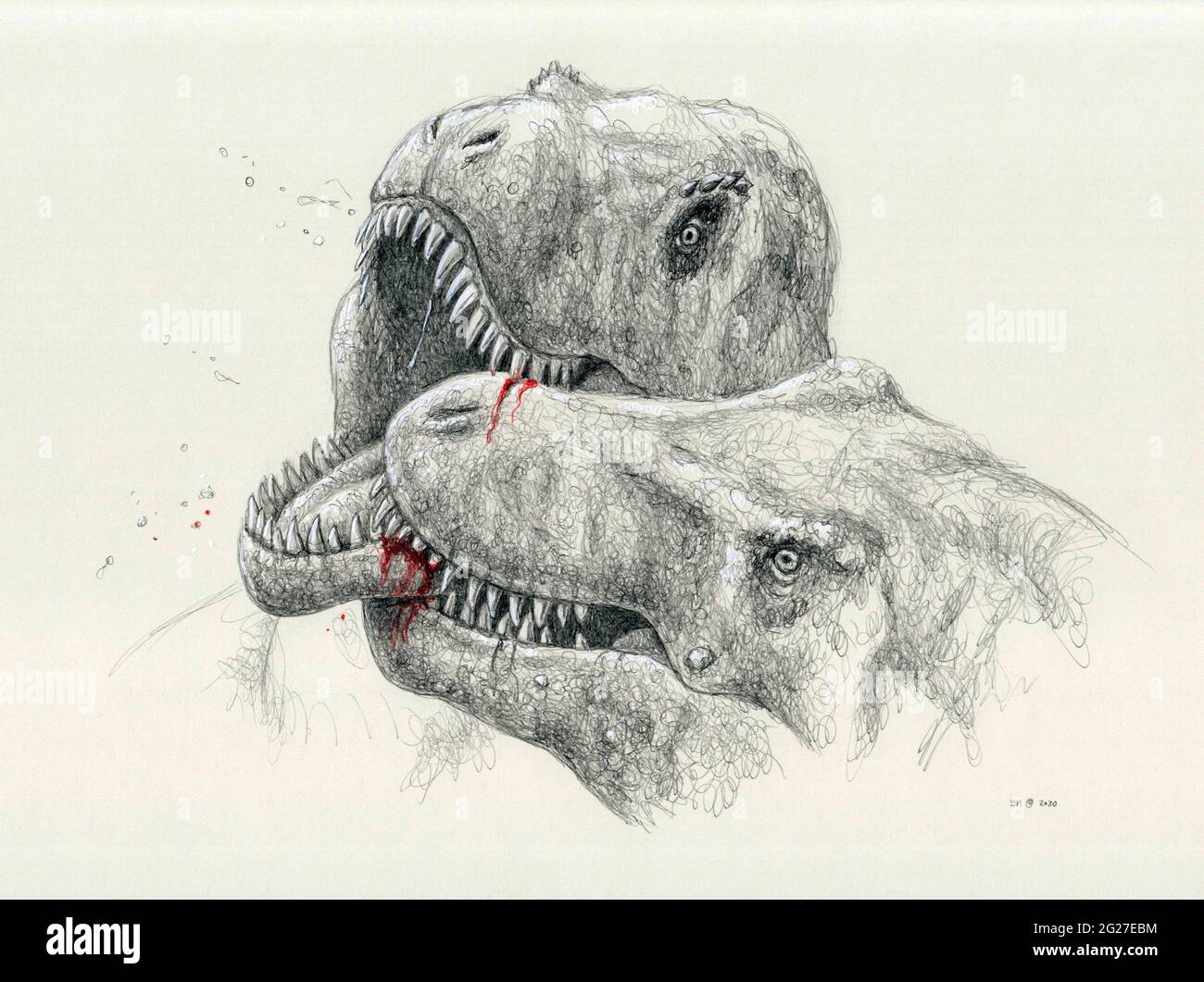 Dinosaur tyrannosaurus rex open mouth -Fotos und -Bildmaterial in hoher ...