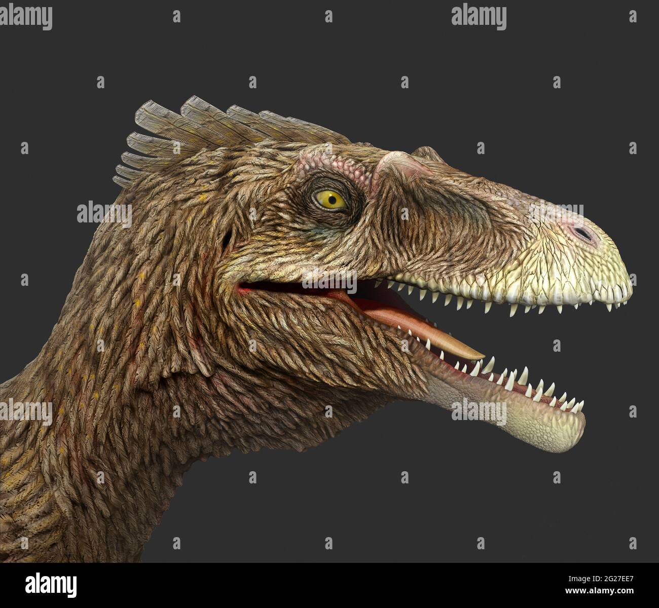 Dakotaraptor steini -Fotos und -Bildmaterial in hoher Auflösung – Alamy