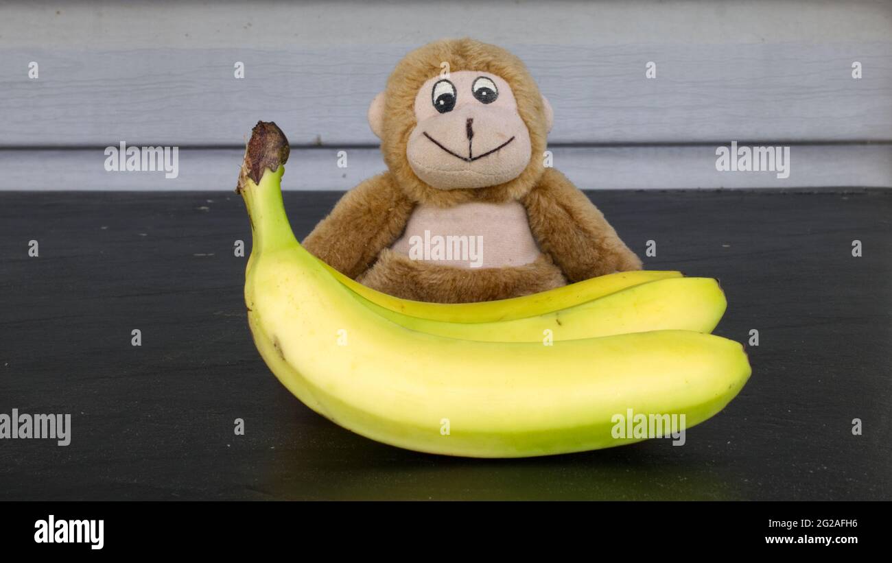 Behaarte banane -Fotos und -Bildmaterial in hoher Auflösung – Alamy