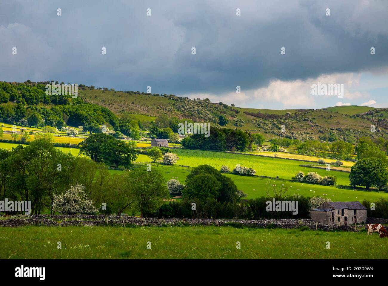 Frühsommer Ansicht von Longstone Edge bei Monsal Head im Peak District ...
