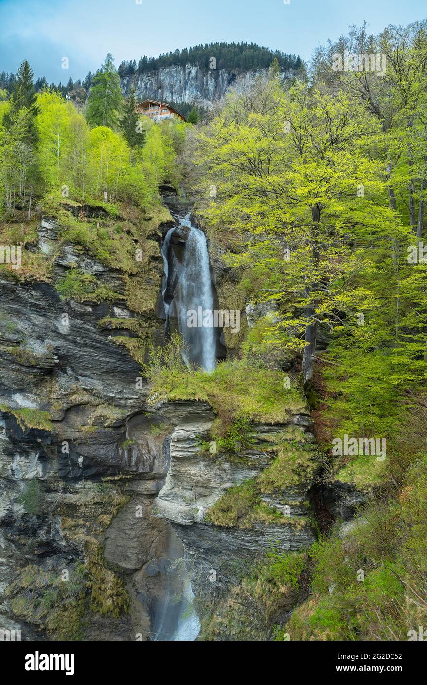Reichenbach wasserfall -Fotos und -Bildmaterial in hoher Auflösung – Alamy