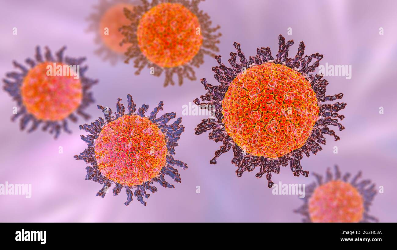 Herpes typ 1 -Fotos und -Bildmaterial in hoher Auflösung – Alamy